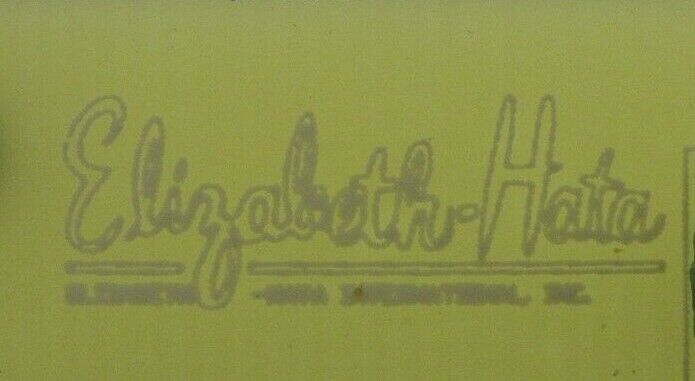 NEW ELIZABETH-HATA TSTR-0006 RELAY TSTR0006 - SB Industrial Supply, Inc.