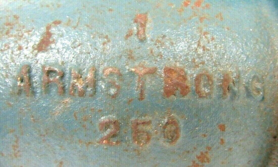 NEW ARMSTRONG 250 Y-STRAINER 1" - SB Industrial Supply, Inc.