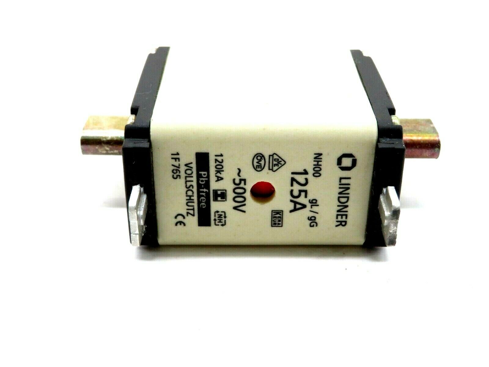 7 NEW LINDNER 1F765 FUSES 125A 500V - SB Industrial Supply, Inc.