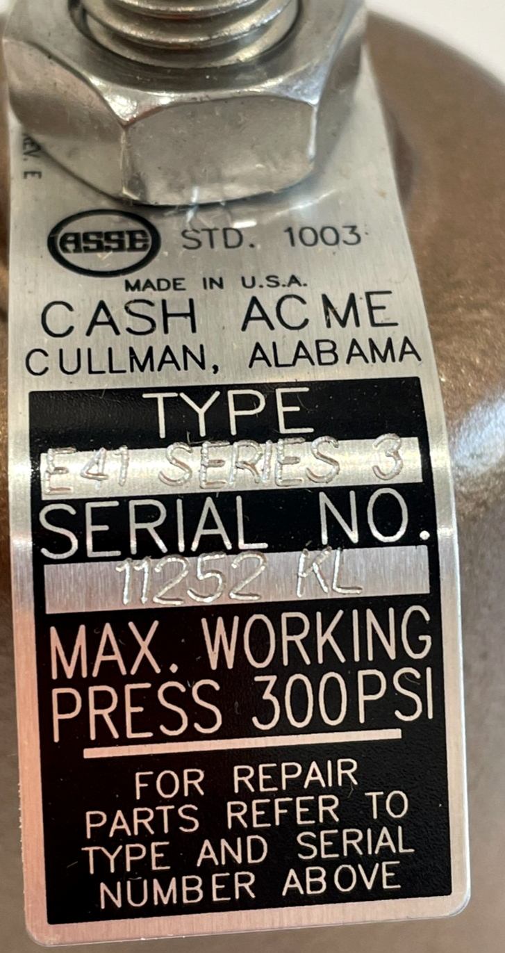 NEW CASH VALVE E-41 PRESSURE REGULATOR 1 NPT 20-70 PSIG SER. 3 E41 - SB ...